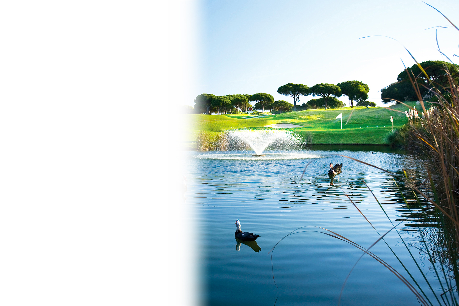 Santo Antonio Golf Golf Course - Green Fee Rates, twilight, buggy ...